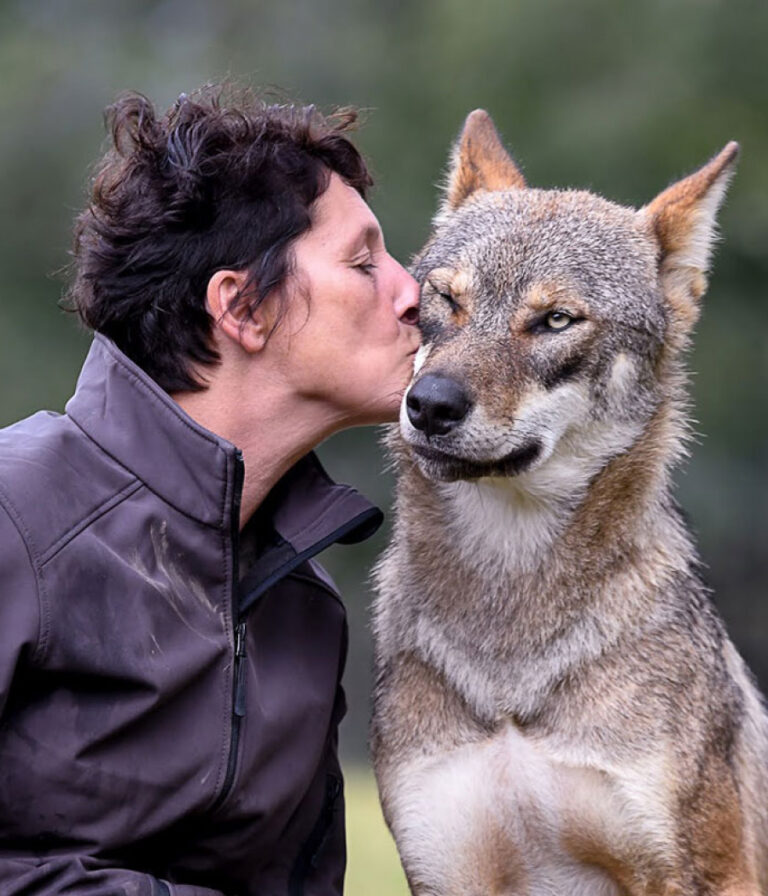 À propos - Qui sommes nous ? - Animal Contact